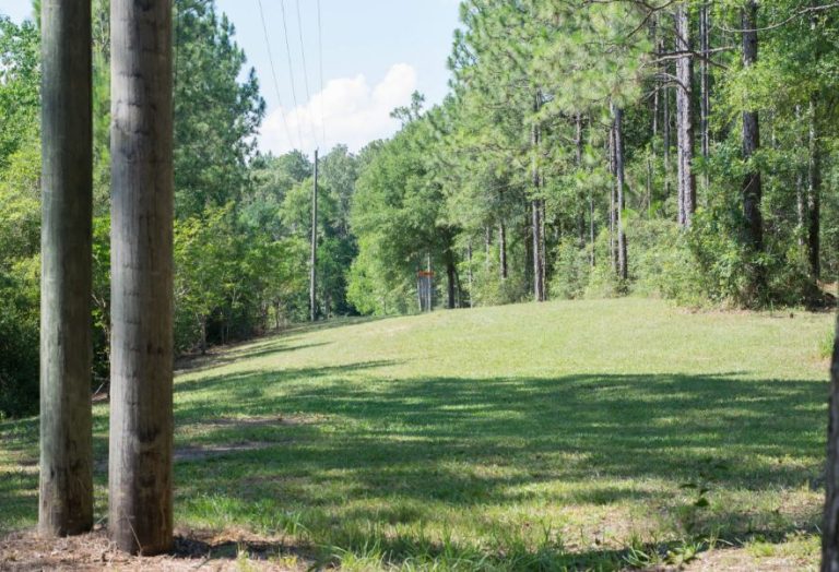 The Admiral Disc Golf Course - City of Semmes